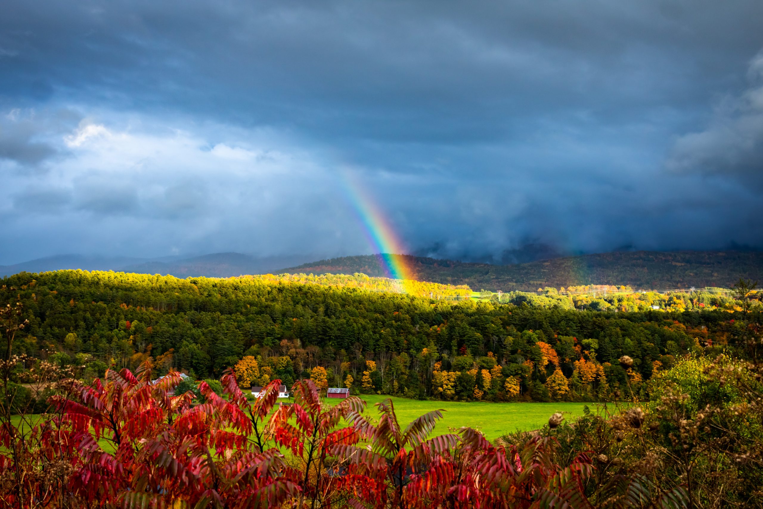 Home - Boudreau Photography | Christina Boudreau Photography